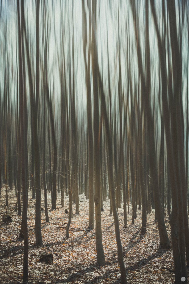 motionless movement – mworks.studio